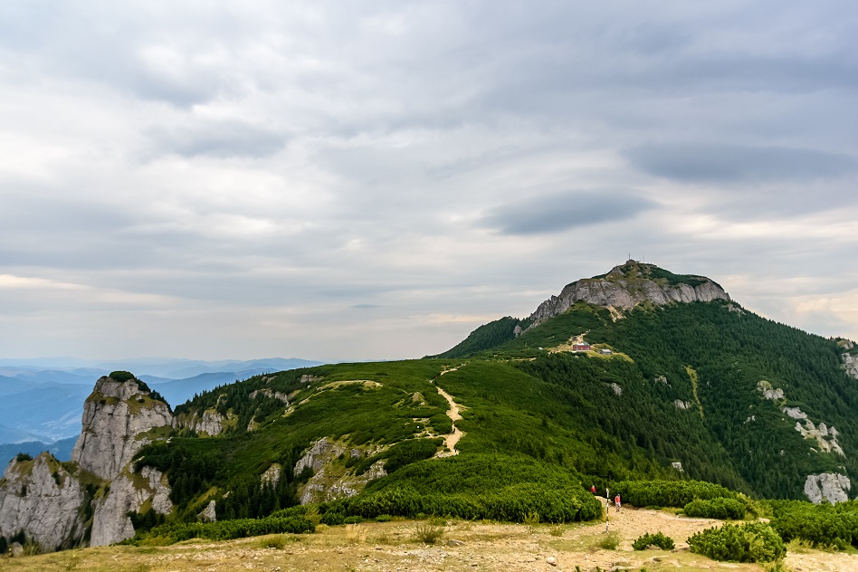 Vârfuri (T) - România Geografică